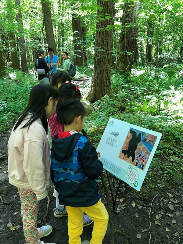Great Smoky Mountains National Park Shares A Search For Safe Passage On great-smoky-mountains-national-park-shares-a-search-for-safe-passage-on